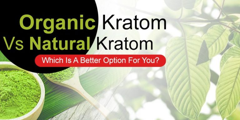 Organic Kratom Vs. Natural Kratom - Which Is a Better Option For You?