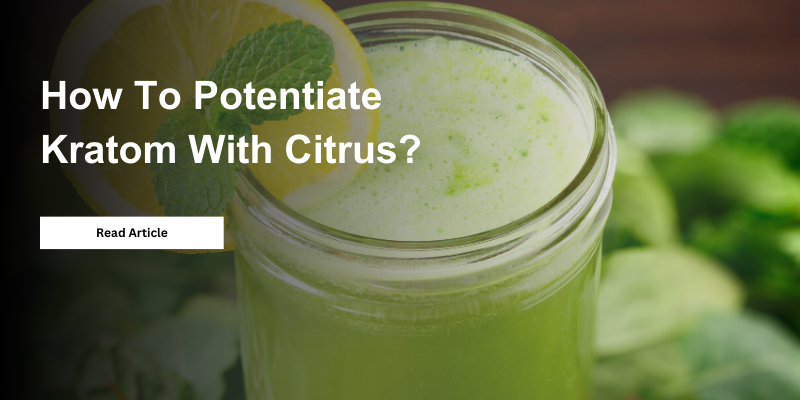 Kratom and Citrus: Is Citrus a Good Kratom Potentiator?