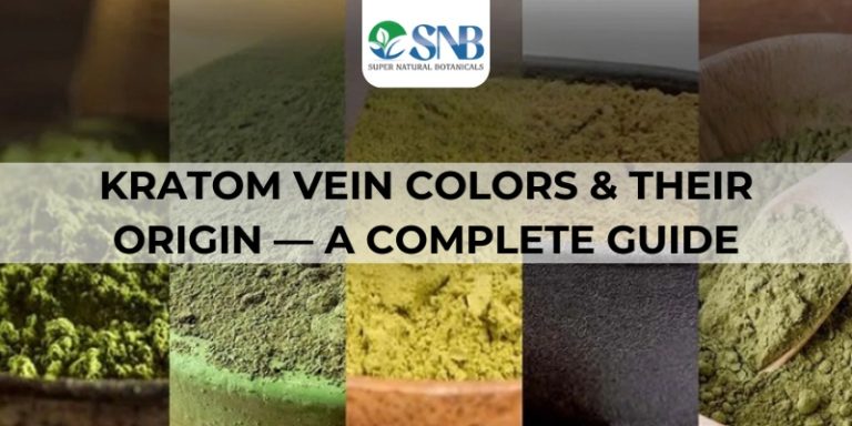 Kratom Vein Colors & Their Origin — A Complete Guide