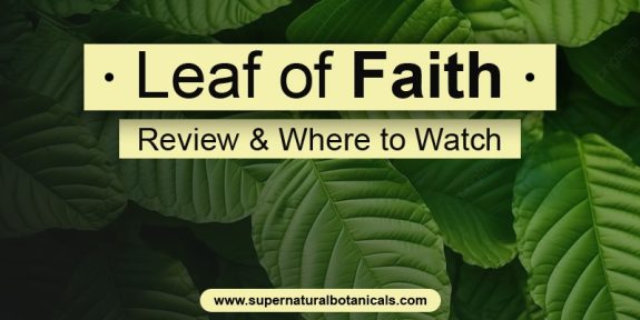 A Leaf of Faith Kratom Review & Where to Watch