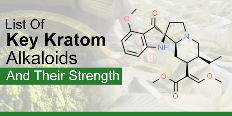 List of Key Kratom Alkaloids And Their Strength