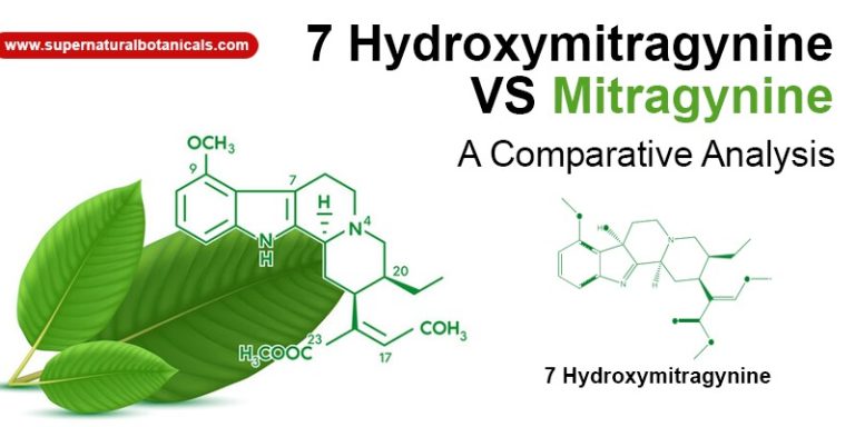 7 Hydroxymitragynine VS Mitragynine: A Comparative Analysis